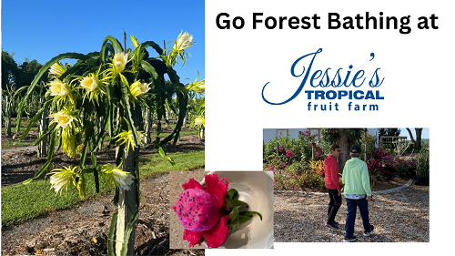 Forest Bathing at Jessie's Tropical Fruit Farm | EventsSWFL